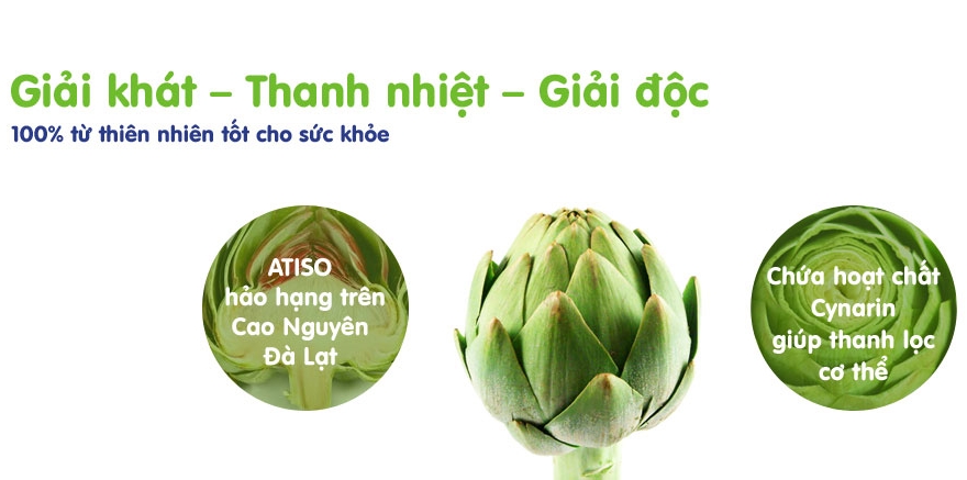 Trà Atiso Vfresh hộp giấy 1l